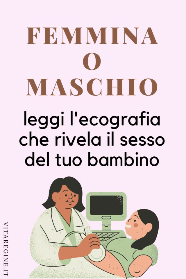 Femmina o maschio: leggi l'ecografia che rivela il sesso del tuo ...