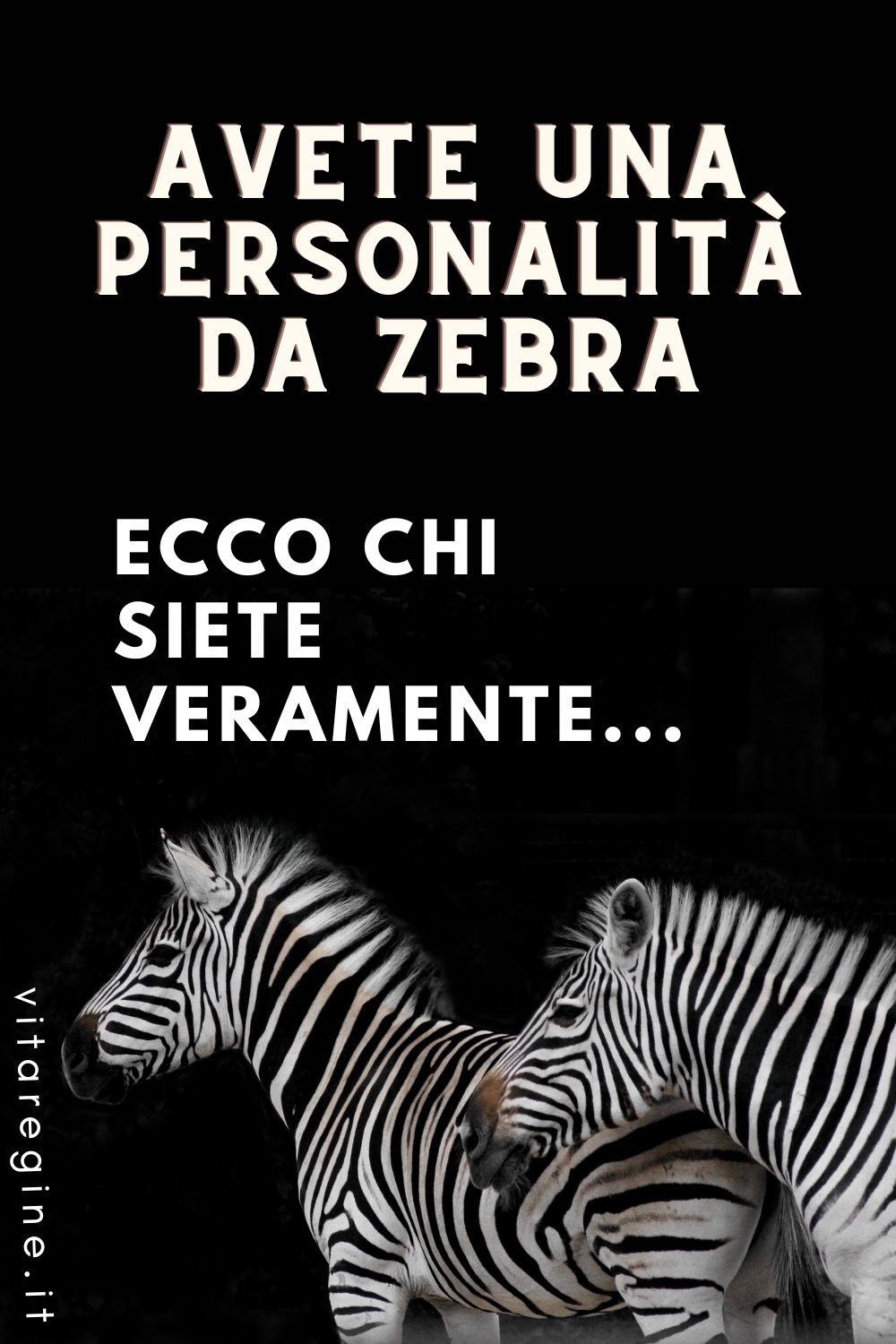 Avete una personalità da zebra? Ecco chi siete veramente... - La Vita ...