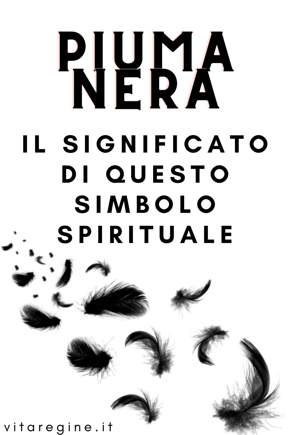 Piuma nera: il significato di questo simbolo spirituale - La Vita Delle ...
