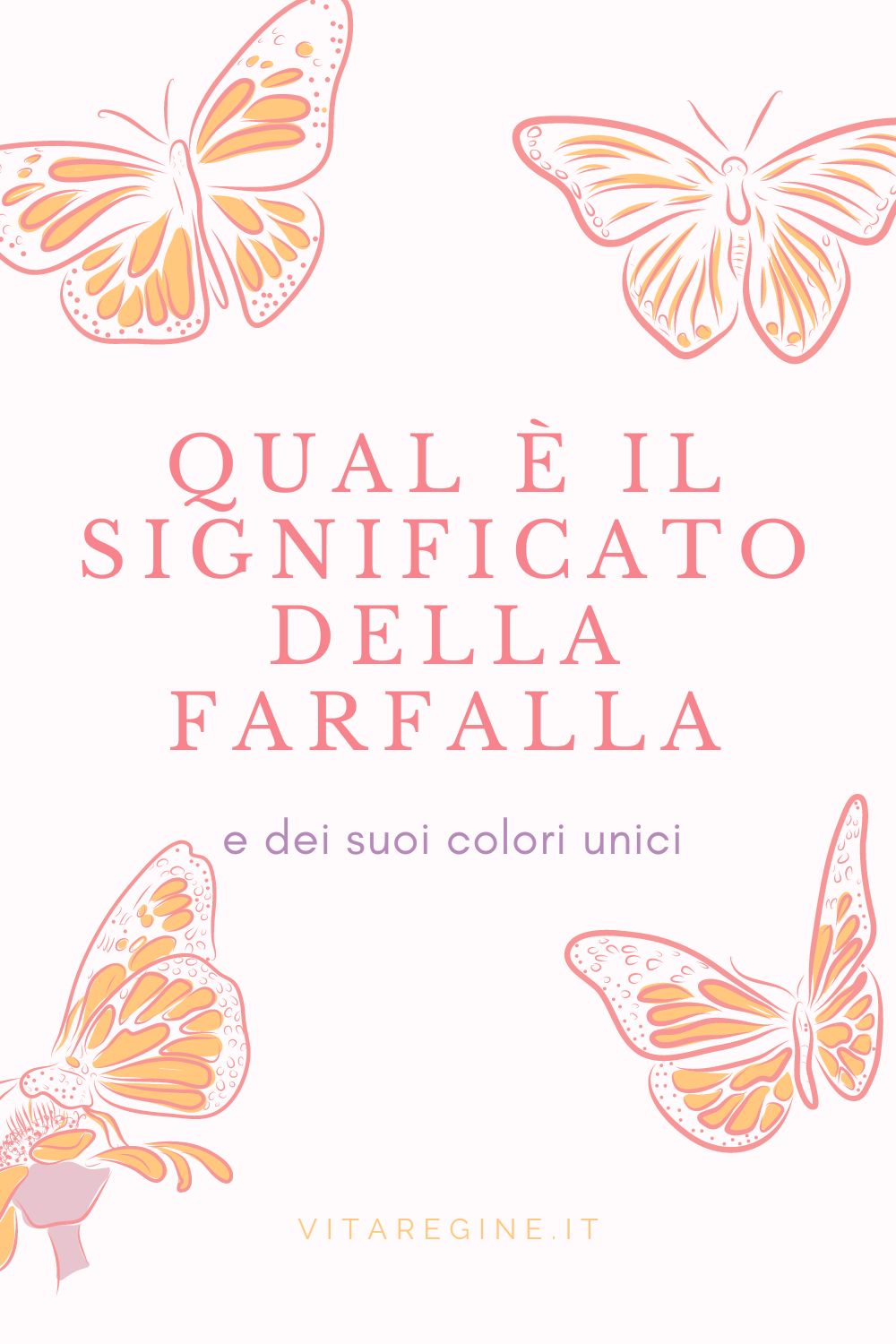 Qual è il significato della farfalla e dei suoi colori unici? - La Vita Delle Regine