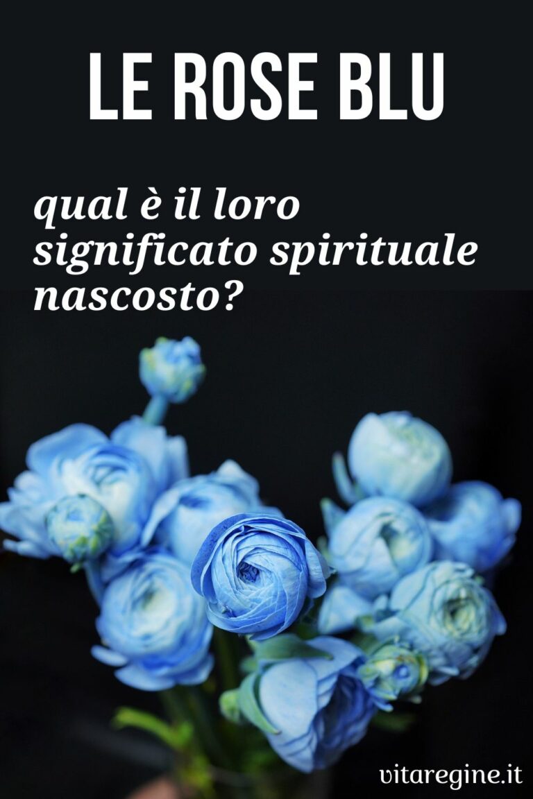 Le rose blu: qual è il loro significato spirituale nascosto? - La Vita ...