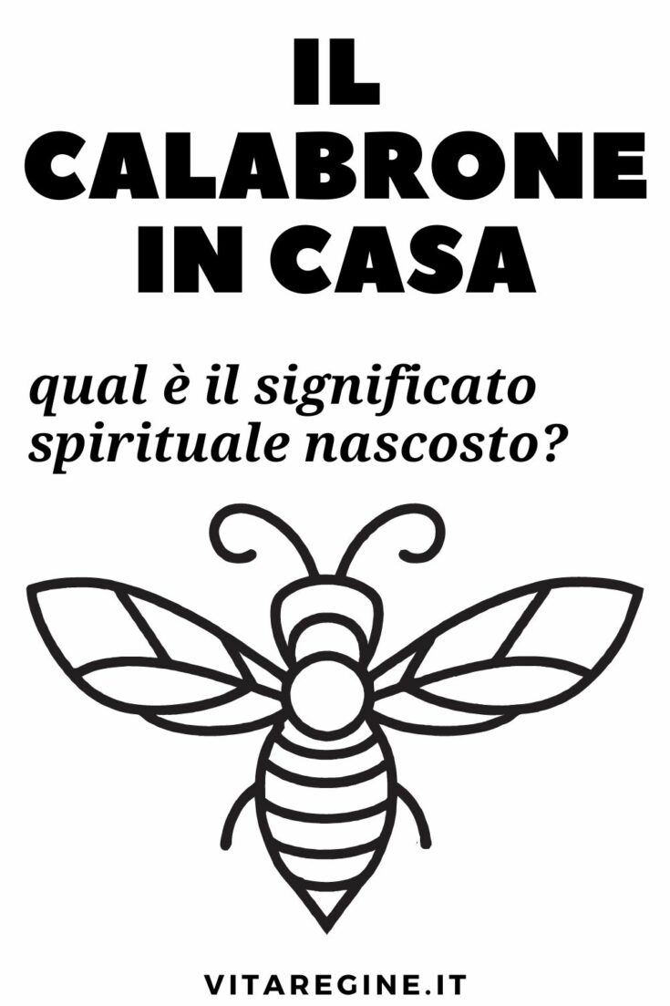 Il calabrone in casa: qual è il significato spirituale nascosto? - La ...