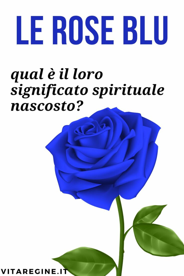 Le rose blu: qual è il loro significato spirituale nascosto? - La Vita ...
