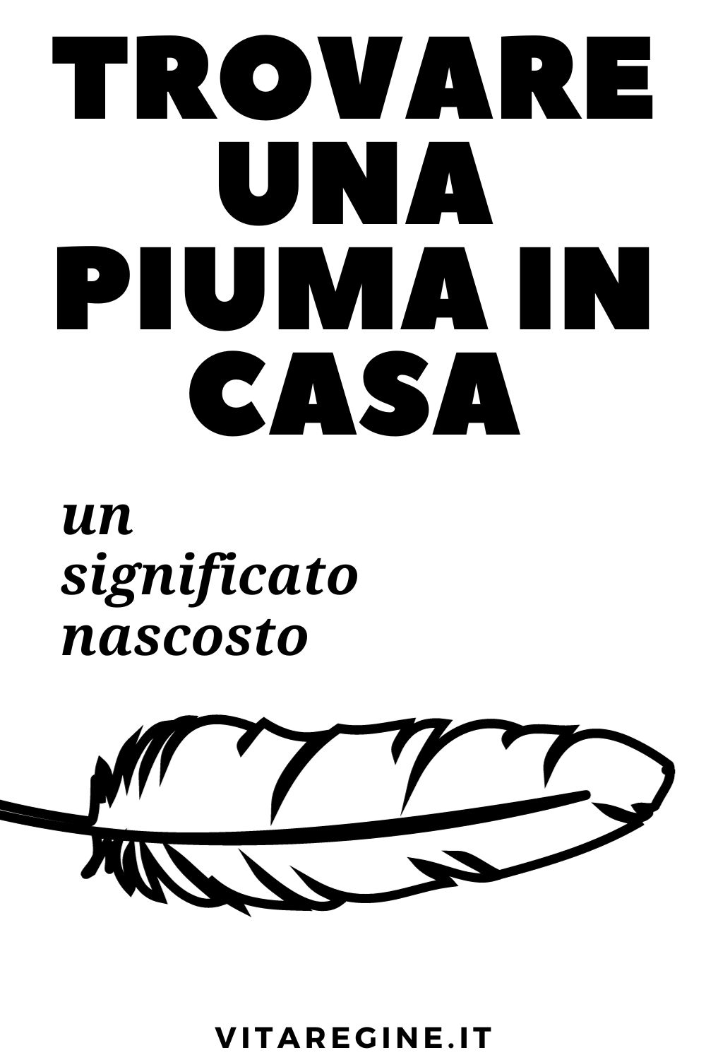 Trovare una piuma in casa: un significato nascosto - La Vita Delle Regine